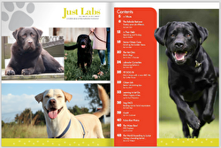 Just Labs Digital Only Subscription « Subscribe / Renew / Give a Gift ...