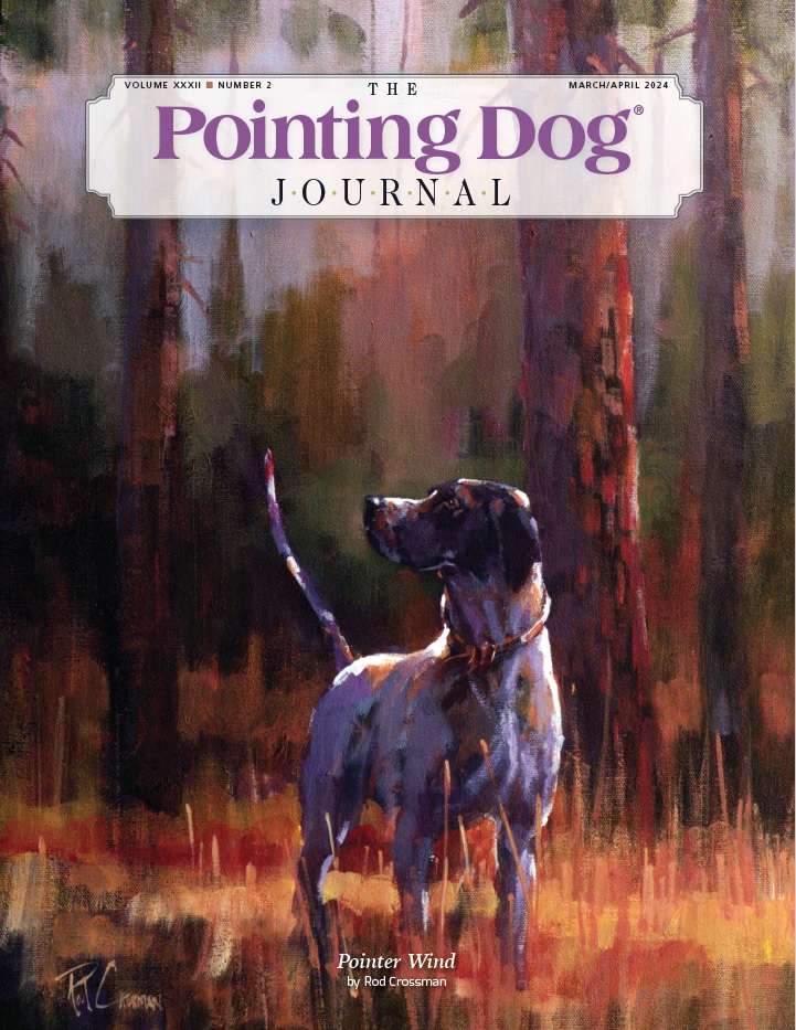 Back Issues « The Pointing Dog Journal « Dogs and Sporting « Storefront ...