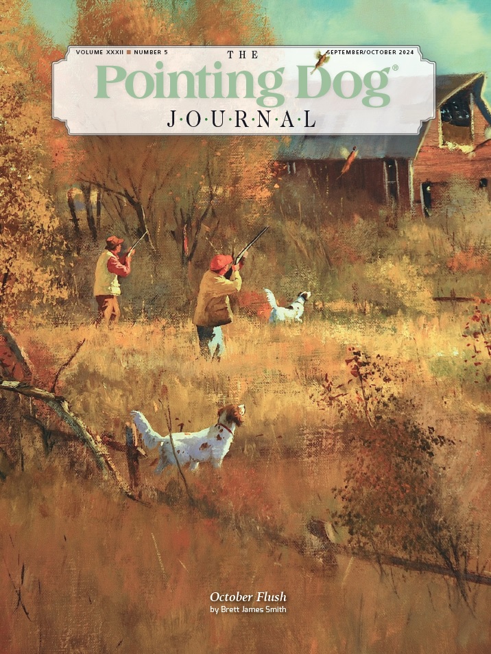 Back Issues « The Pointing Dog Journal « Dogs and Sporting « Storefront ...