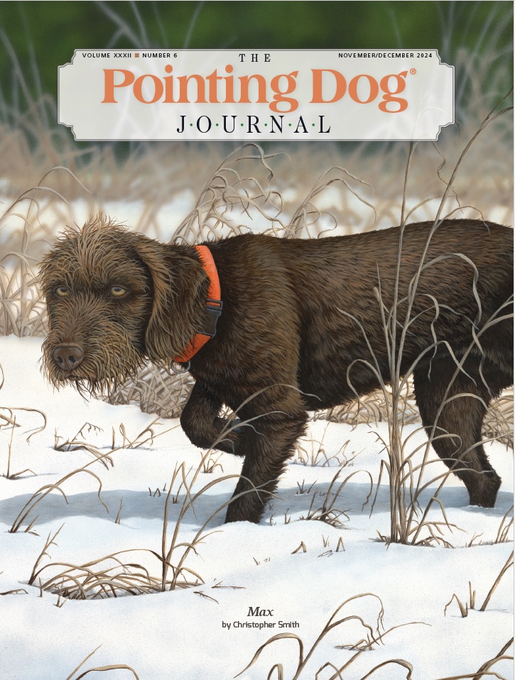 Back Issues « The Pointing Dog Journal « Dogs and Sporting « Storefront ...